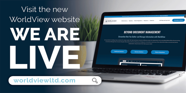 WorldView Brand Guidelines