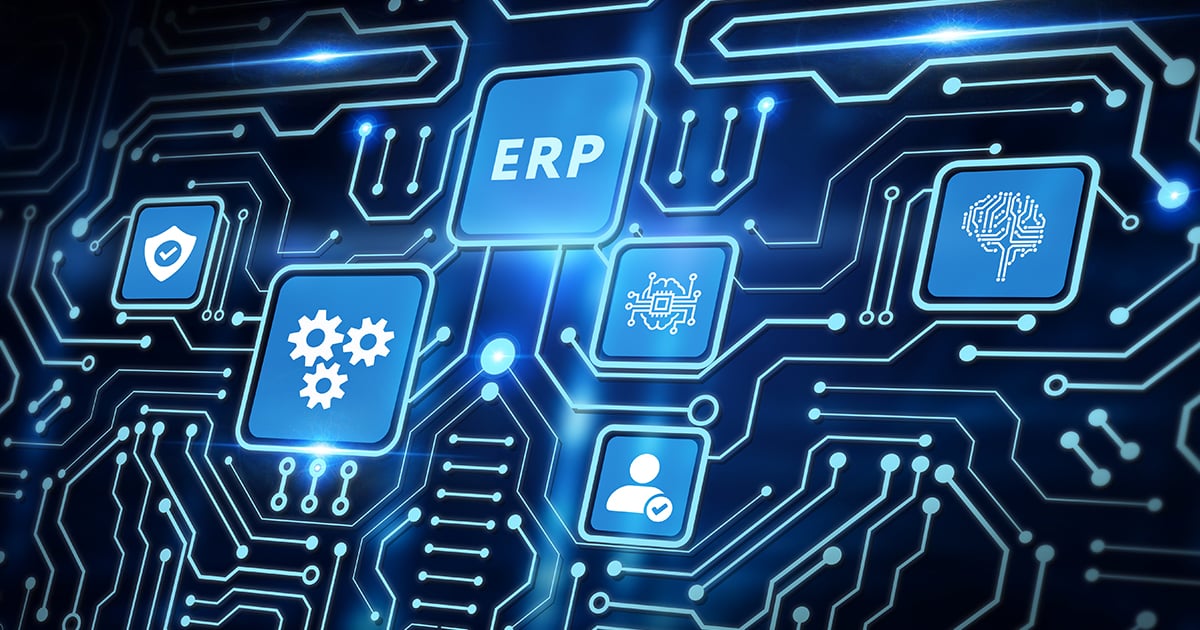 Who Are the Primary Users of ERP Systems?