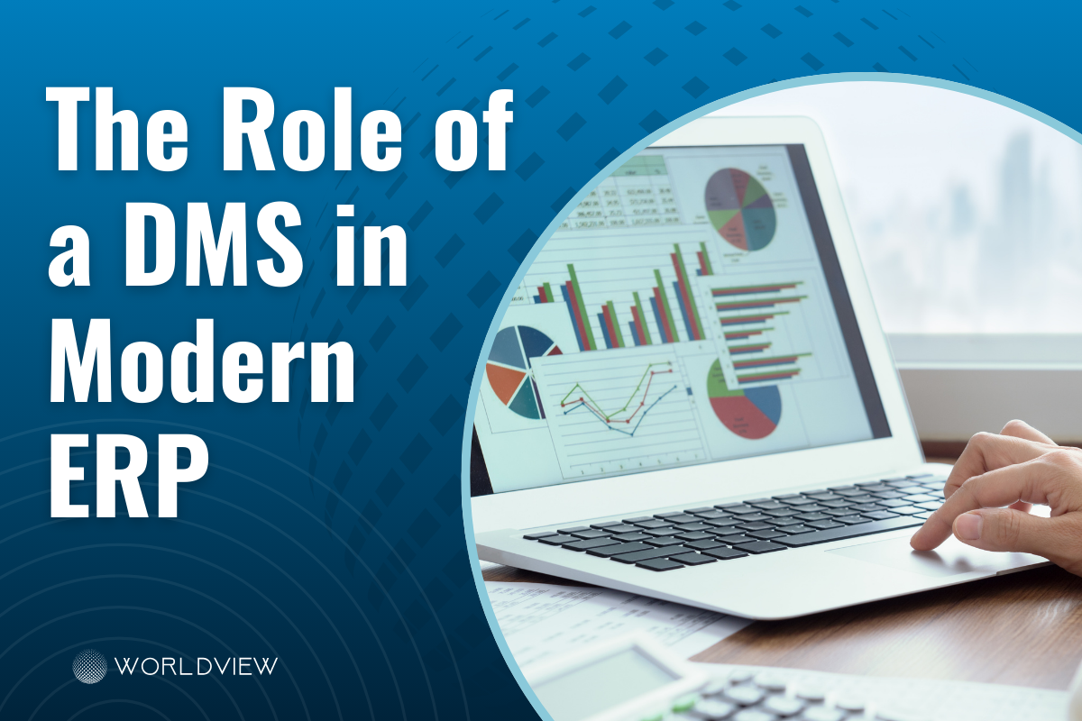 The Role of a DMS in Modern ERP: Why It Matters More Than Ever
